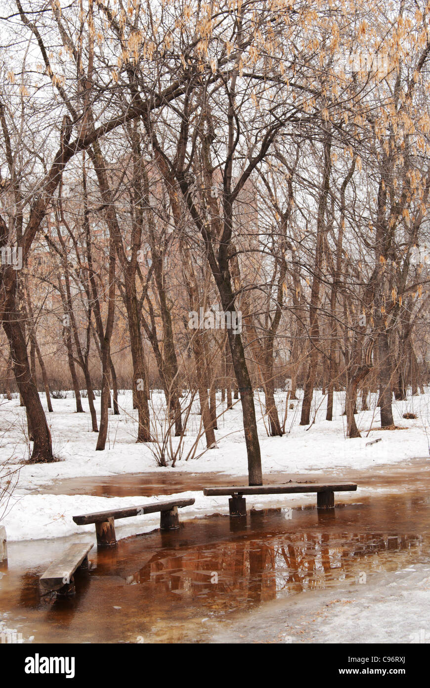 Thawing leaves on tree hi-res stock photography and images - Alamy