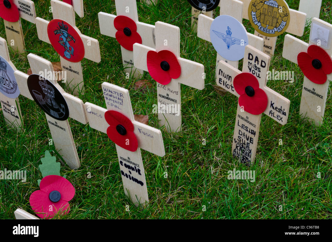 Remembrance day poppy Stock Photo - Alamy