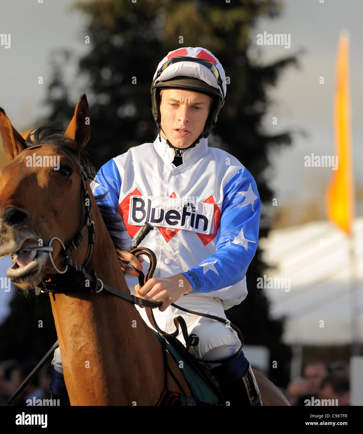 James reveley horse hi-res stock photography and images - Alamy