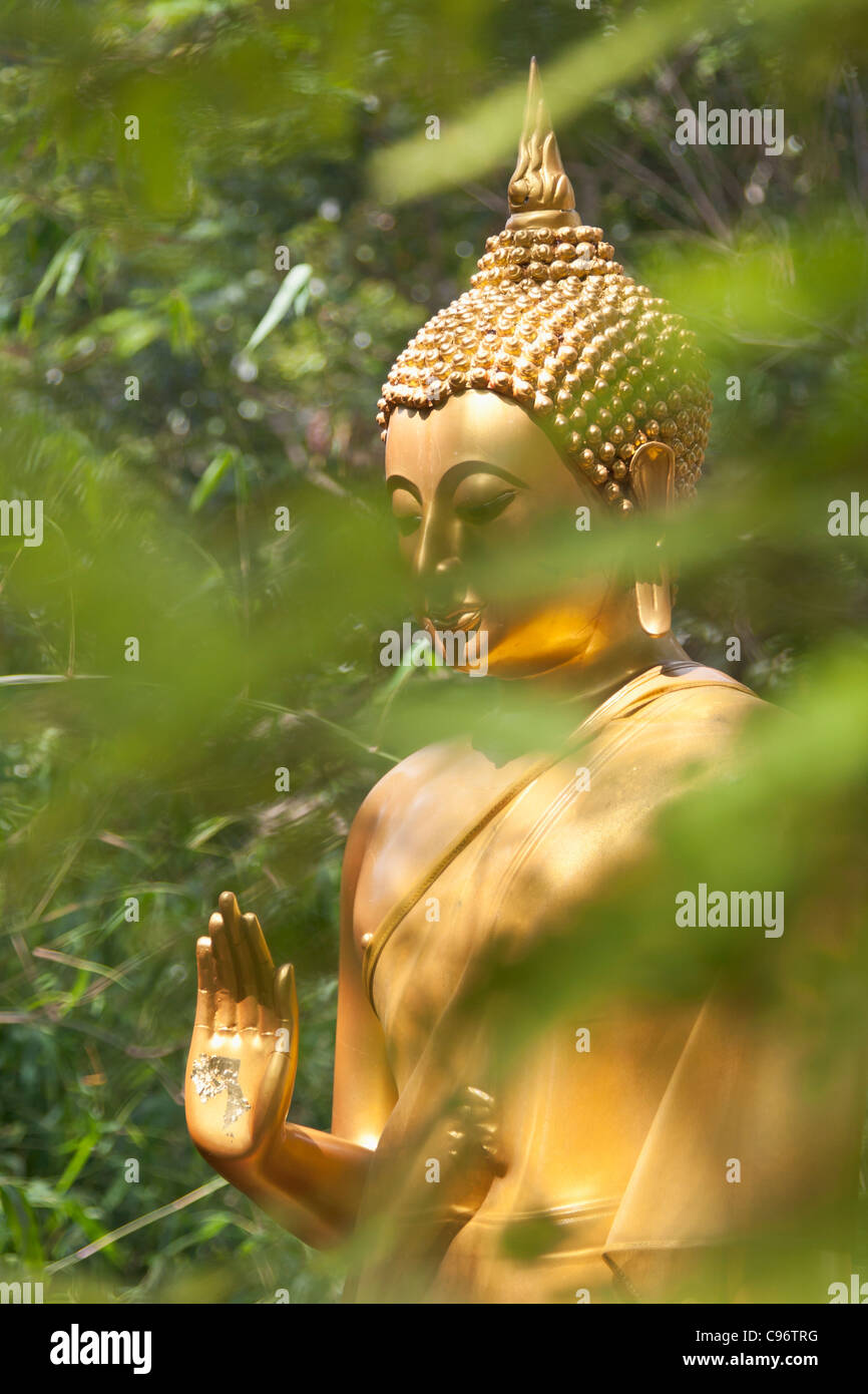 Yod icon hi-res stock photography and images - Alamy