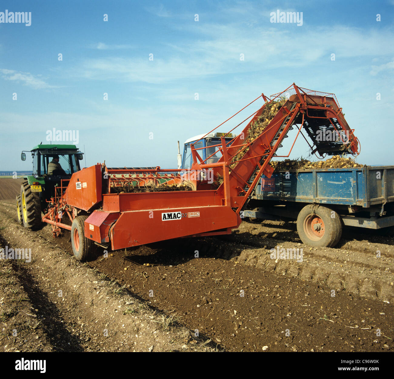 John Deere tractor & AMAC elevator harvesting topped potato crop Stock ...