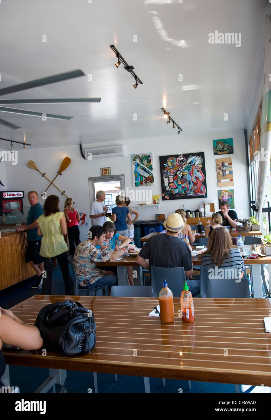 Bear Flag Restaurant Partners | Bear Flag Fish Co.