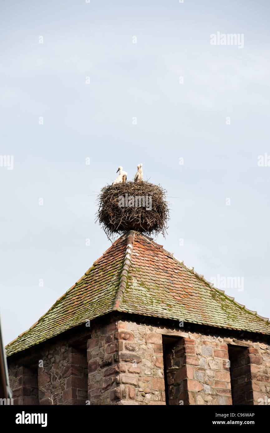 Kaysersberg,Alsace,France,Storks Nesting,13th-16th century Medieval ...