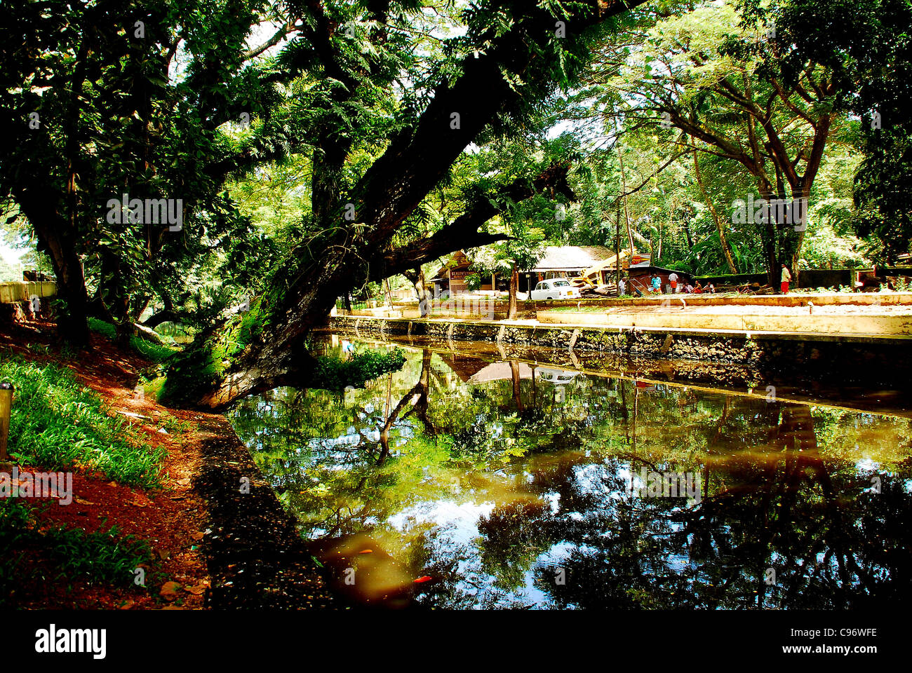 Tree lined lake trees hi-res stock photography and images - Alamy