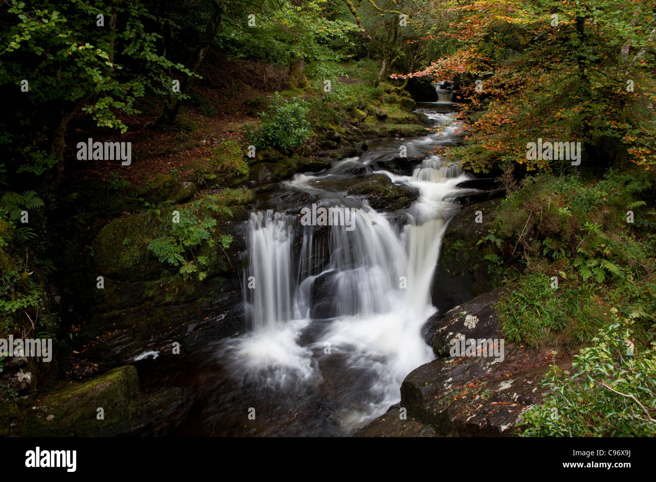 Waterfall on Torc Mountain, Kerry, in Killarney National Park, Ireland ...