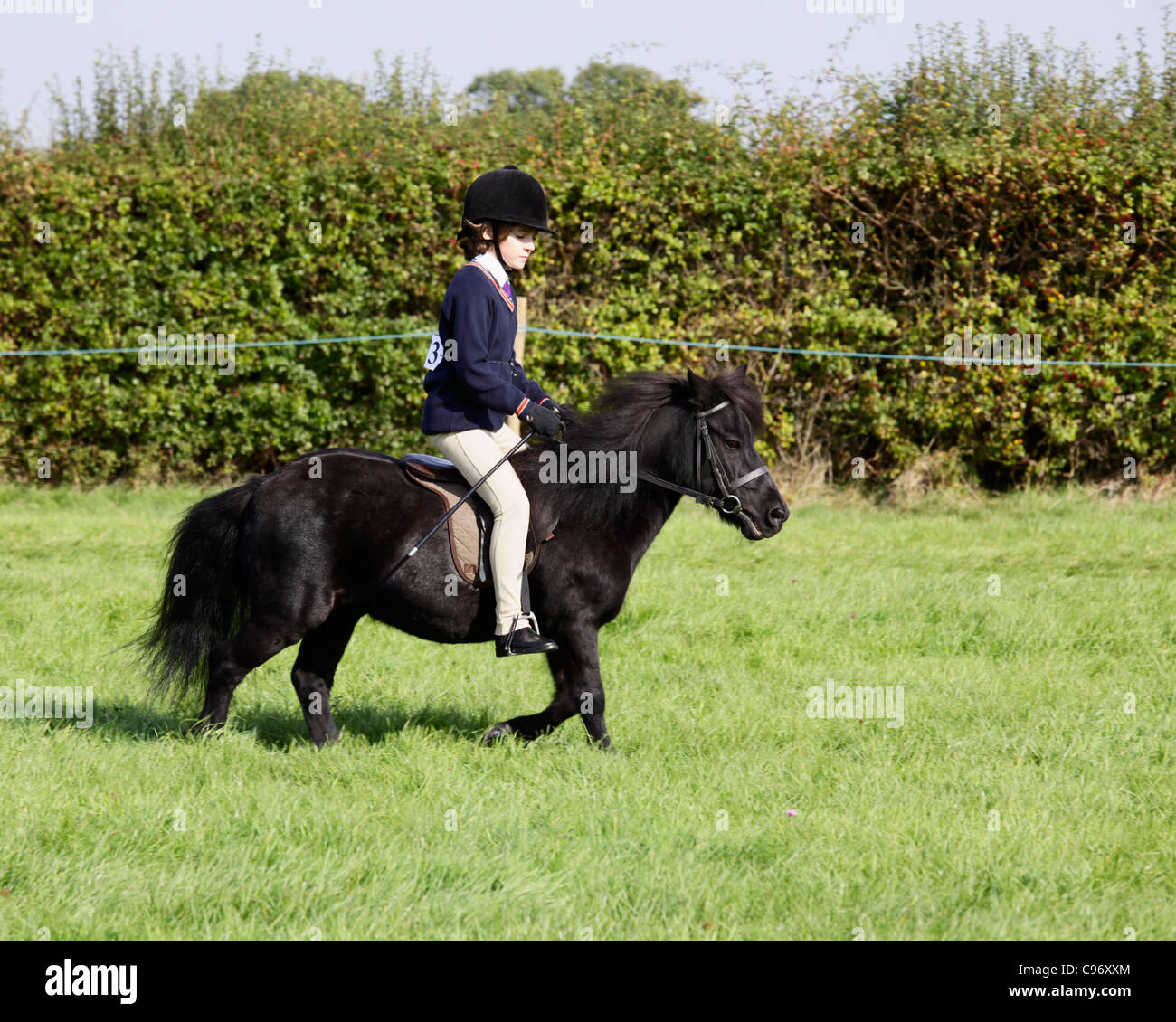 Gransden agricultural show hi-res stock photography and images - Alamy