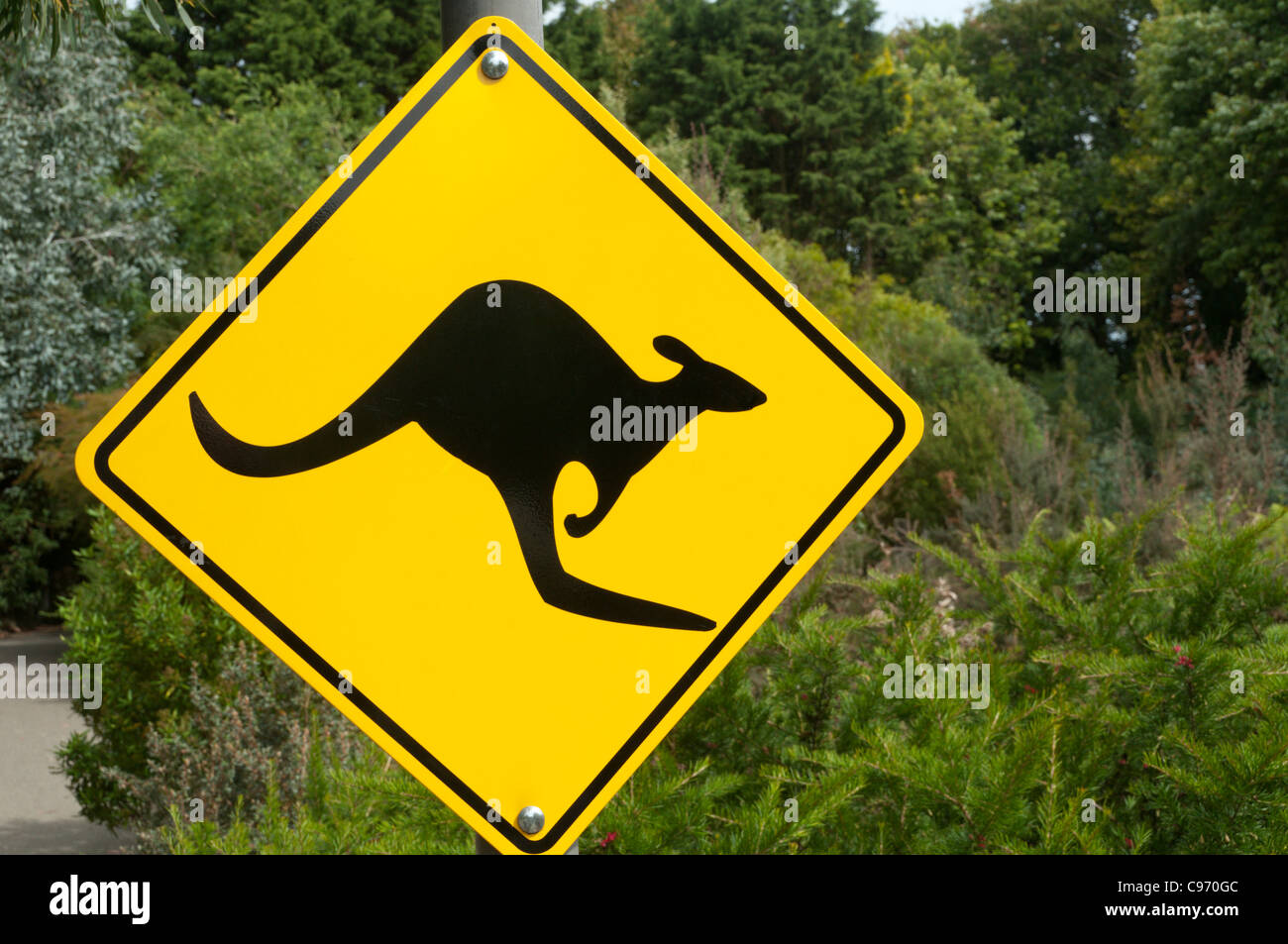 Australian kangaroo road signs hi-res stock photography and images - Alamy