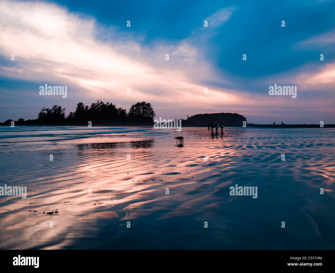 sunset with surfers in distance on south chesterman beach, vancouver ...