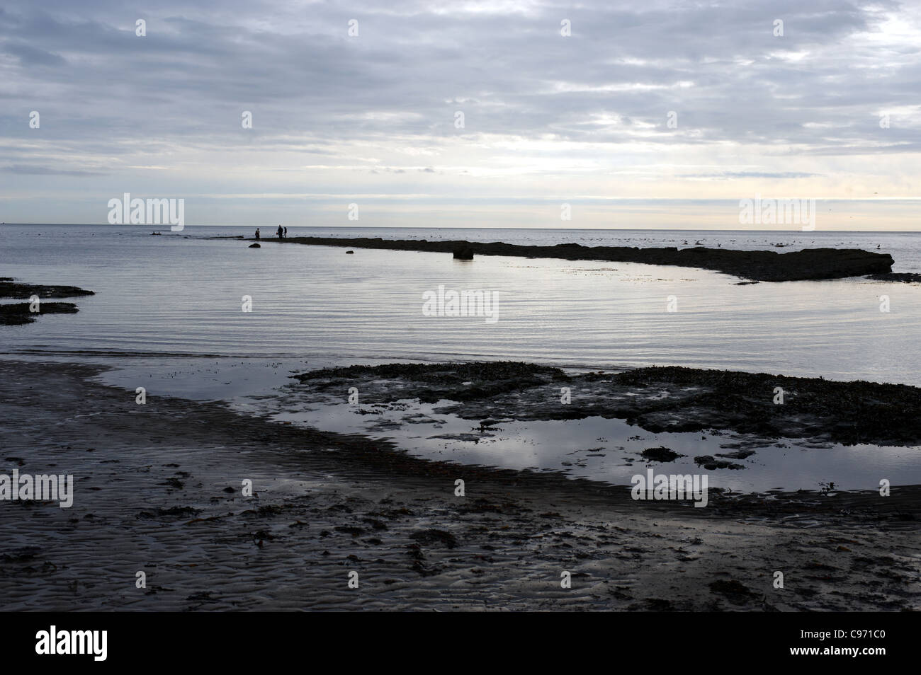The Yorkshire coast at Robin's Hood Bay, England, UK - Copyright owned ...
