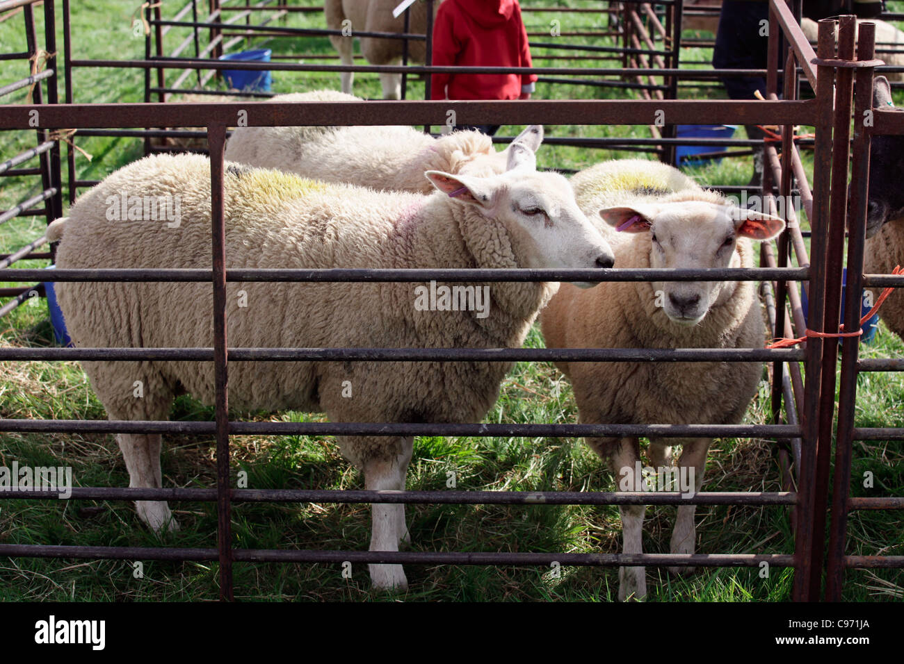 Gransden show hi-res stock photography and images - Alamy