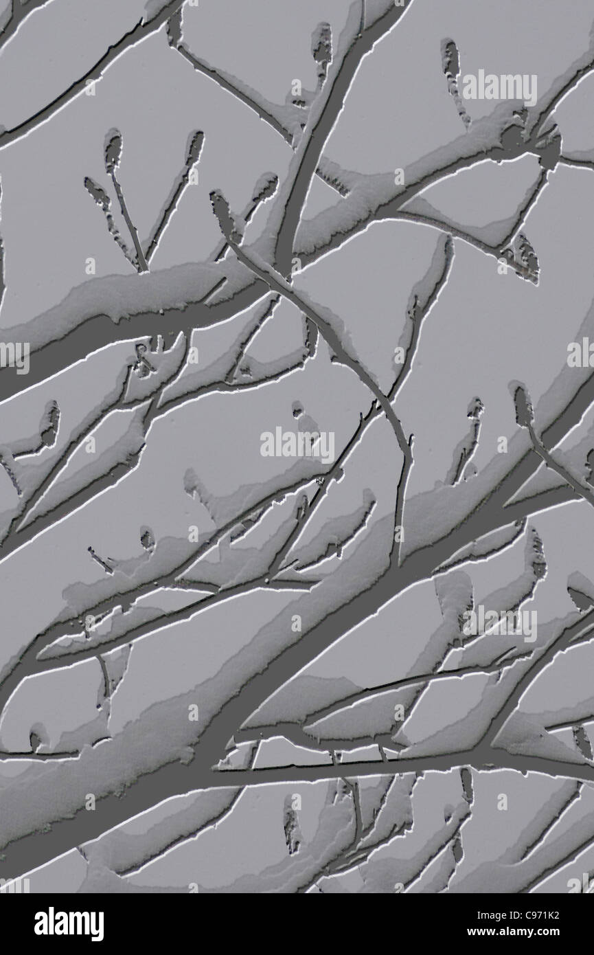 Tree design hi-res stock photography and images - Alamy