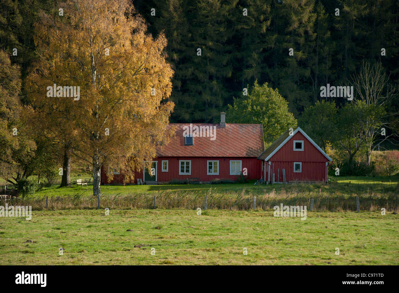 Redpainted wooden house in a swedish valley Stock Photo - Alamy