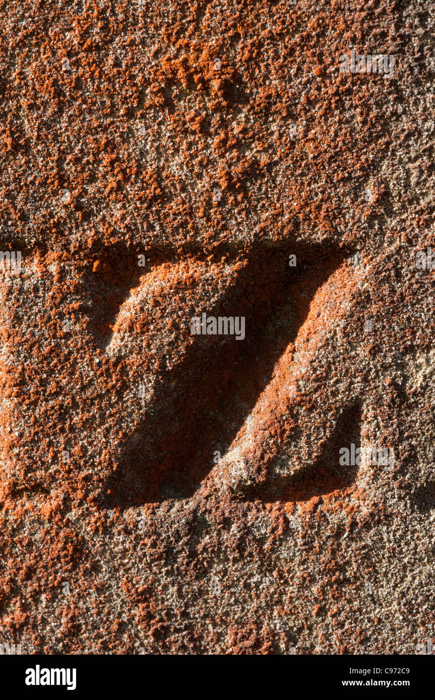 Stone alphabet letter hi-res stock photography and images - Alamy