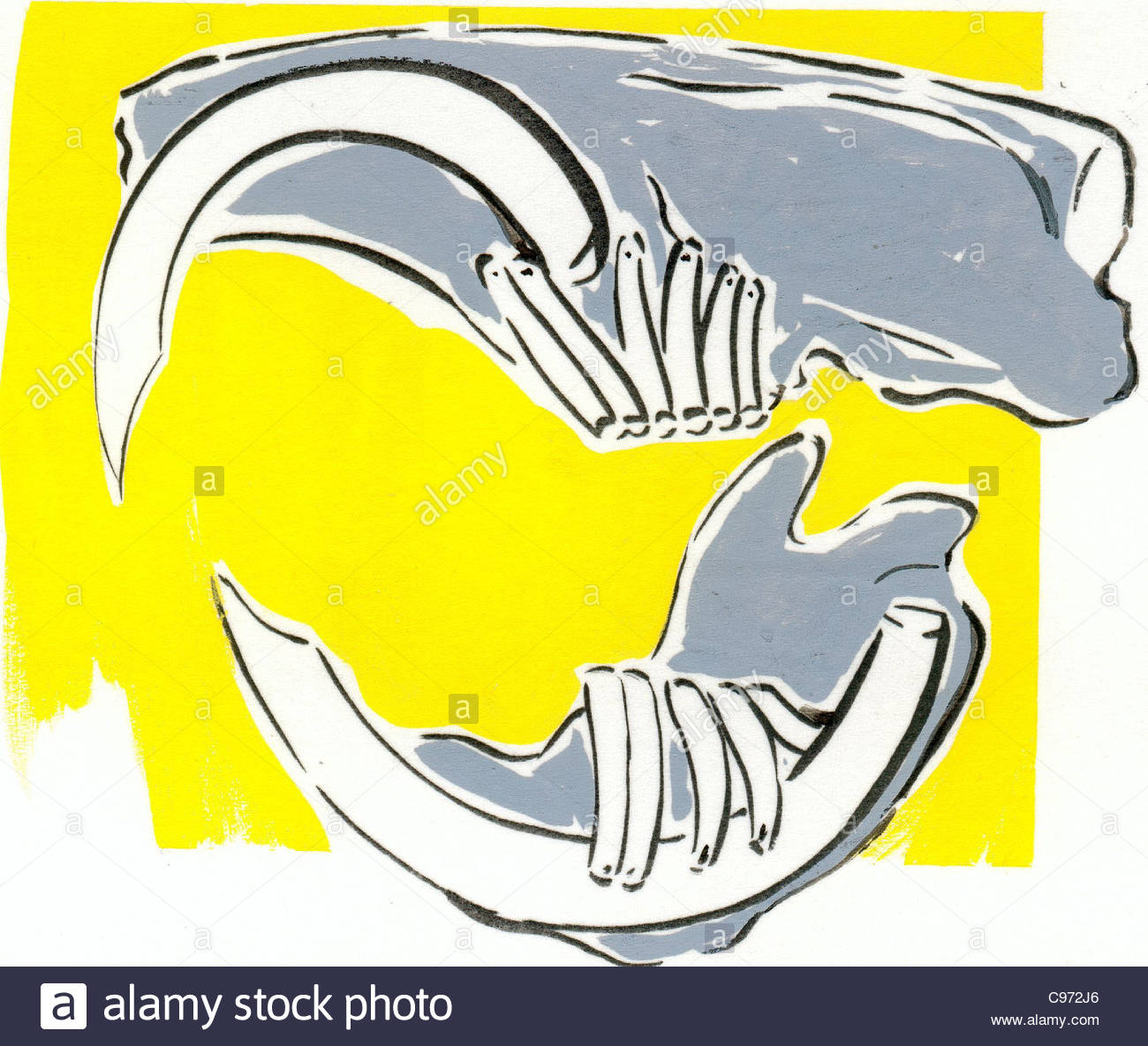 Anatomic Pathology Stock Photos & Anatomic Pathology Stock Images - Alamy