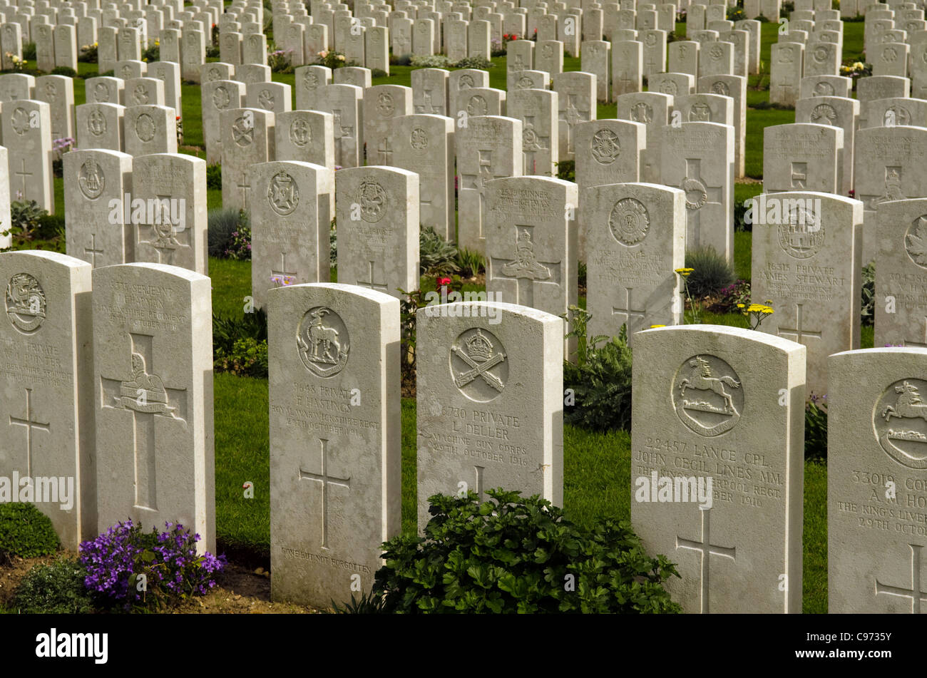 rows of gravestones of world war dead soldiers in Etaples military ...