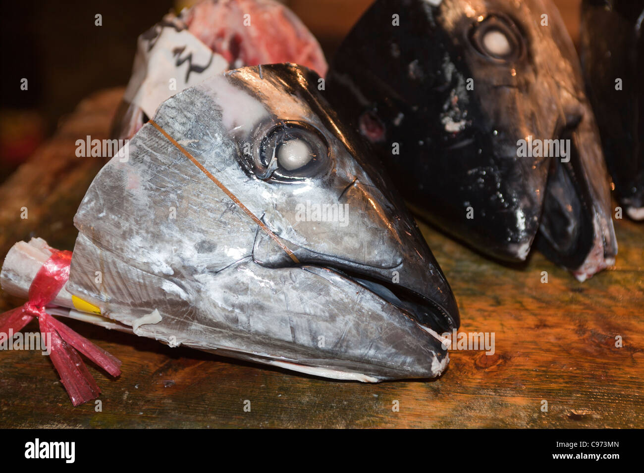 Tsukiji fish market tuna head High Resolution Stock Photography and ...