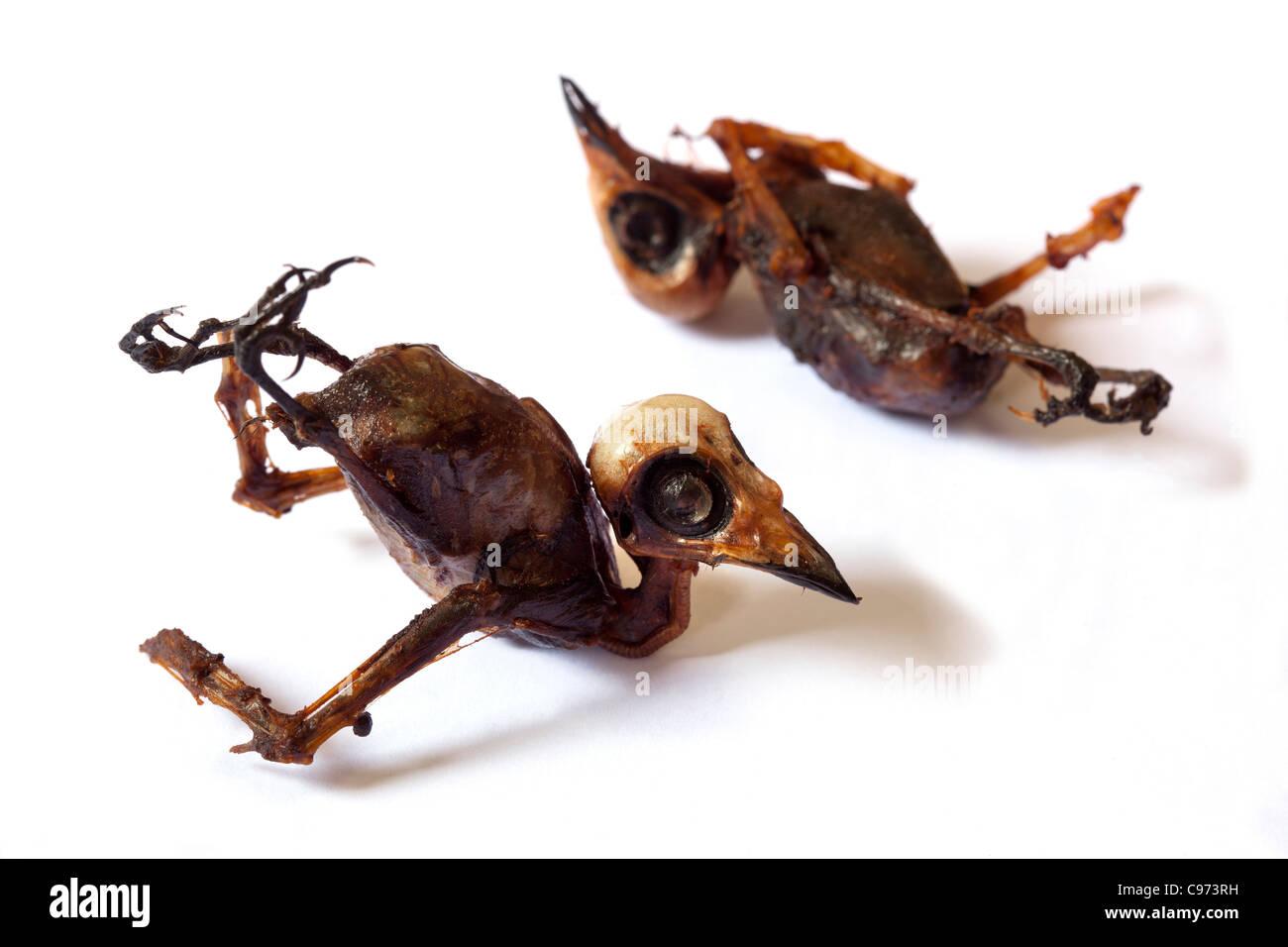 Fried Birds on sale at Markets in Phnom Penh Cambodia Stock Photo - Alamy