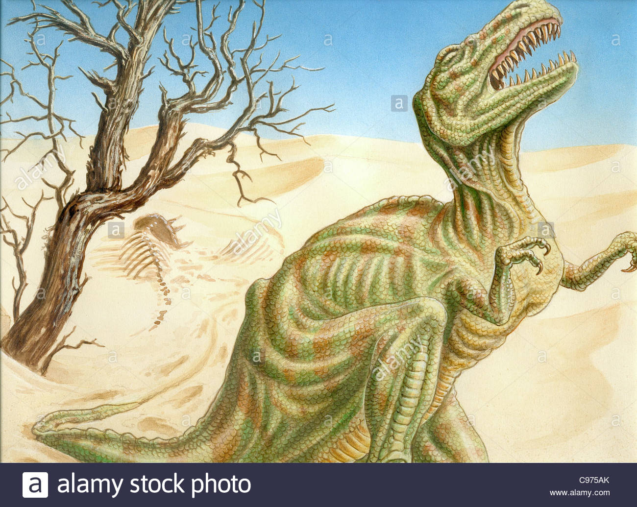 Starving Stock Photos & Starving Stock Images - Alamy