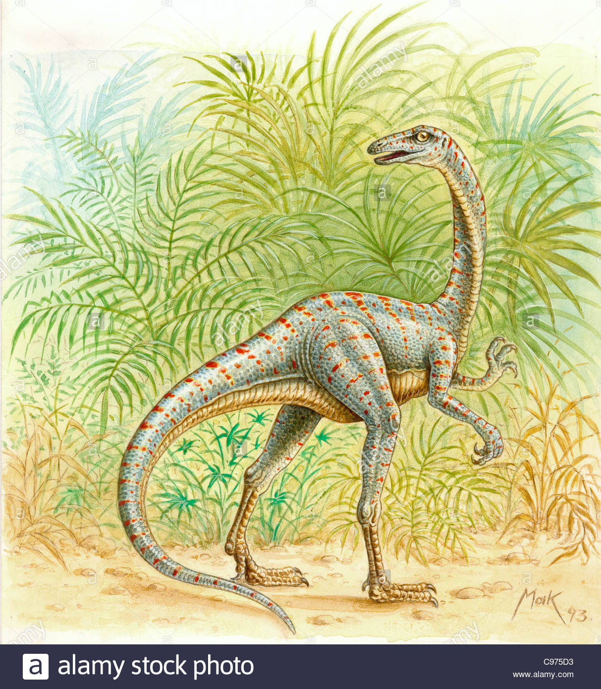 Ornithomimus Stock Photos & Ornithomimus Stock Images - Alamy