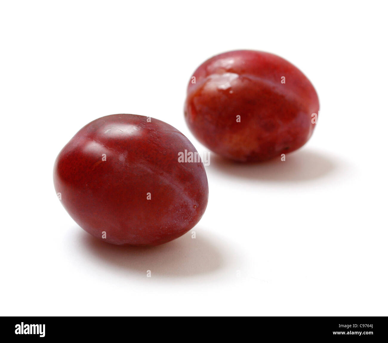 Two plums isolated on white Stock Photo - Alamy