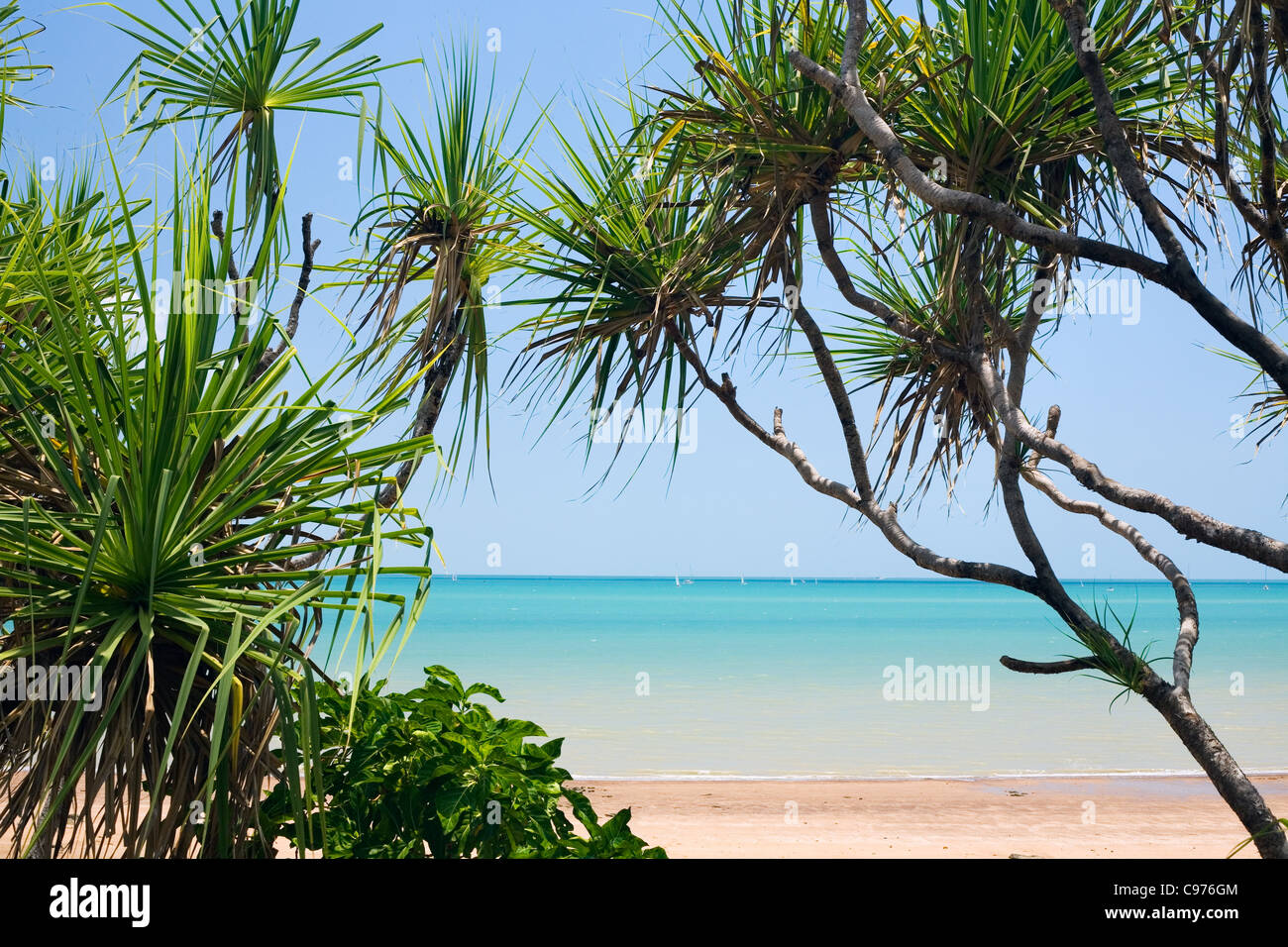 View through pandanus palms to Vestey's Beach in Darwin, Northern ...