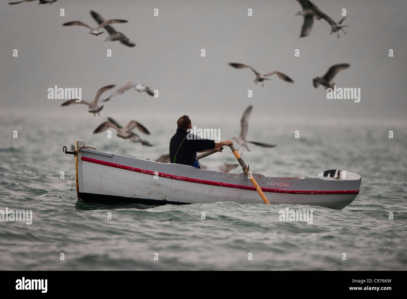Traditional herring fisherman Stephen Perham rowing back with his catch ...