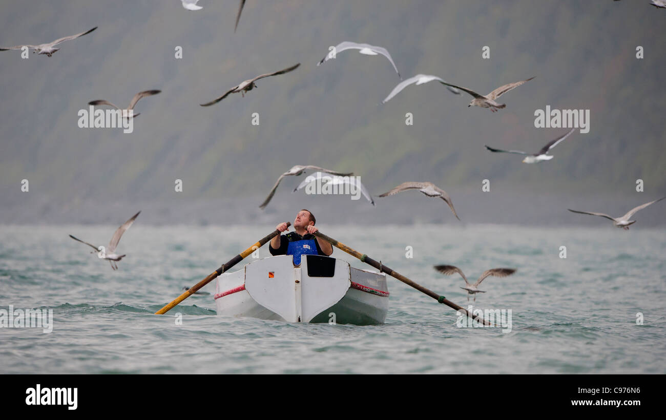 Traditional herring fisherman Stephen Perham rowing back with his catch ...