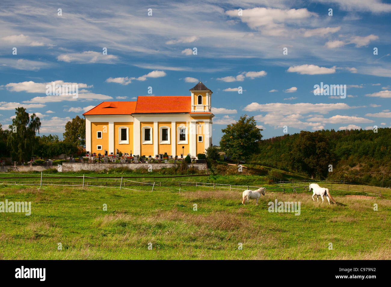 White horses on the pasture near the church Stock Photo - Alamy