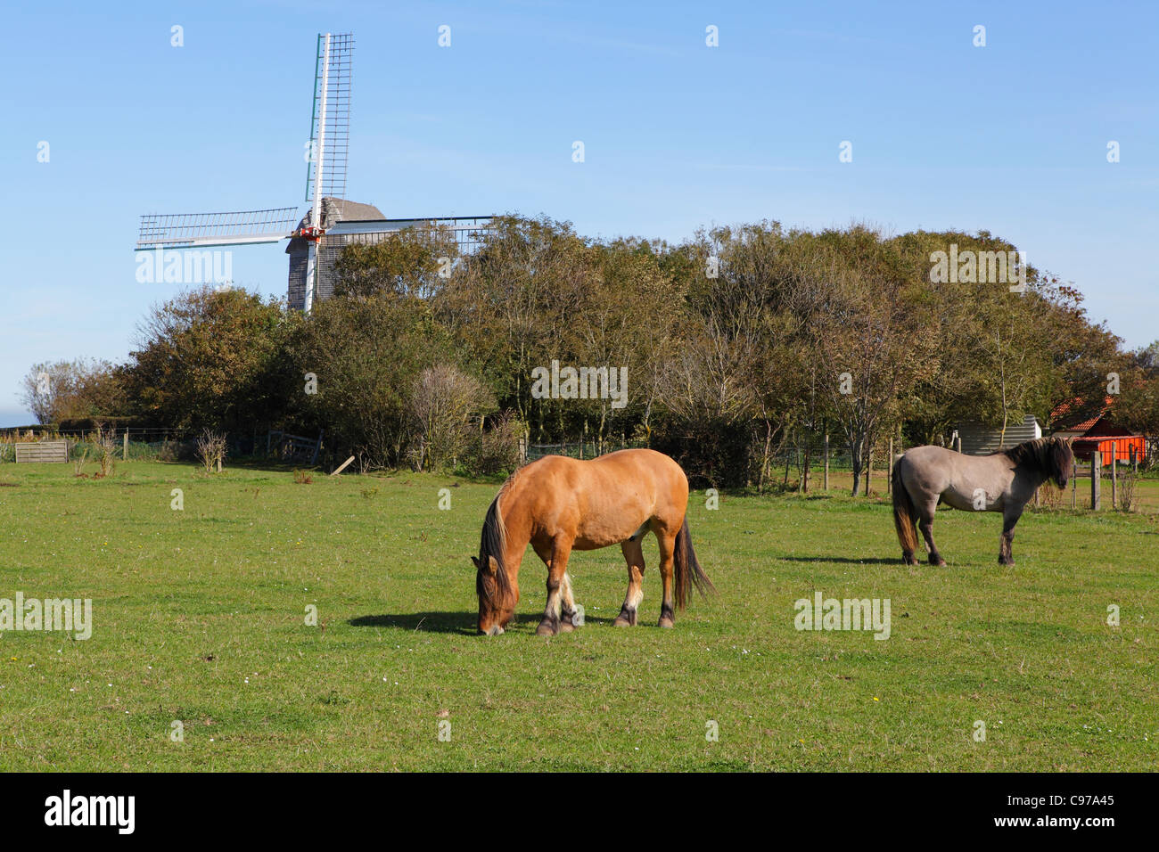 Coquelles hi-res stock photography and images - Alamy