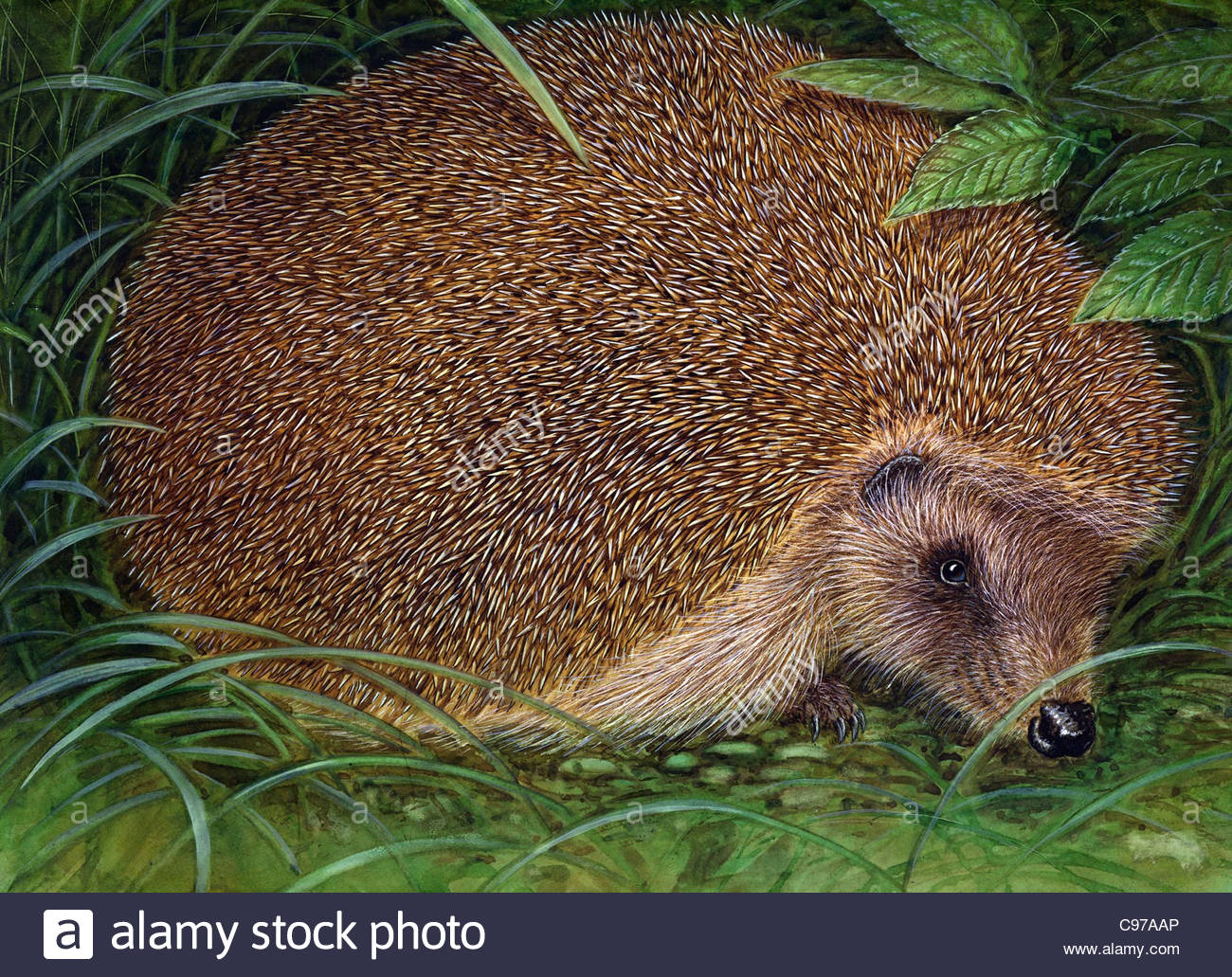 Realistic Stock Photos & Realistic Stock Images - Alamy