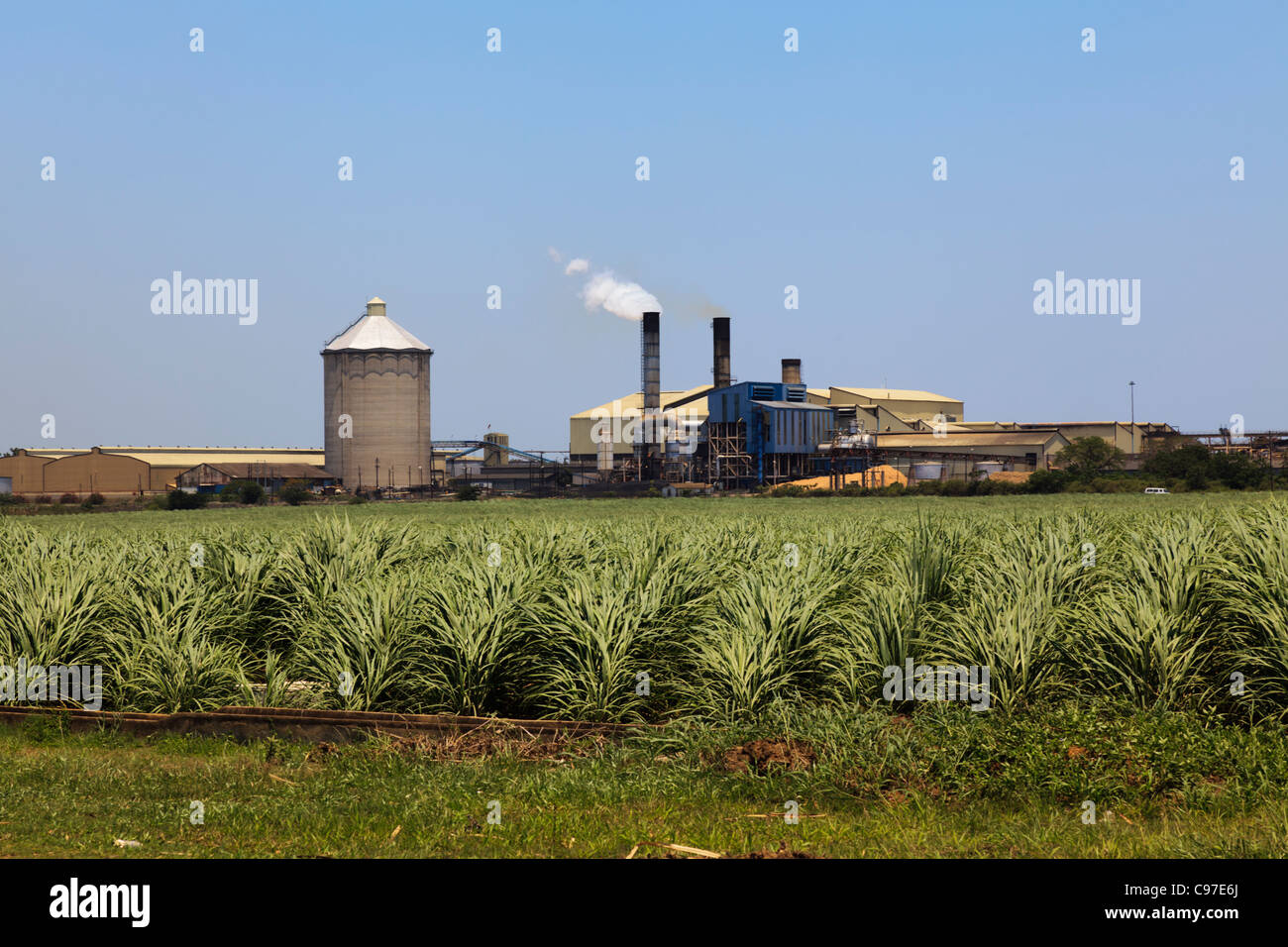 Manufacturing mill processing sugar hi-res stock photography and images ...