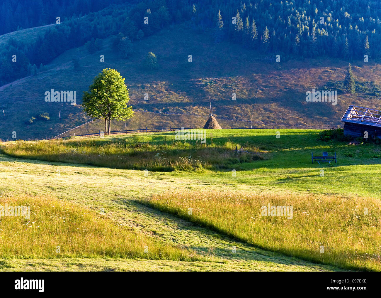 Summer mountain landscape with haystack and lonely tree Stock Photo - Alamy