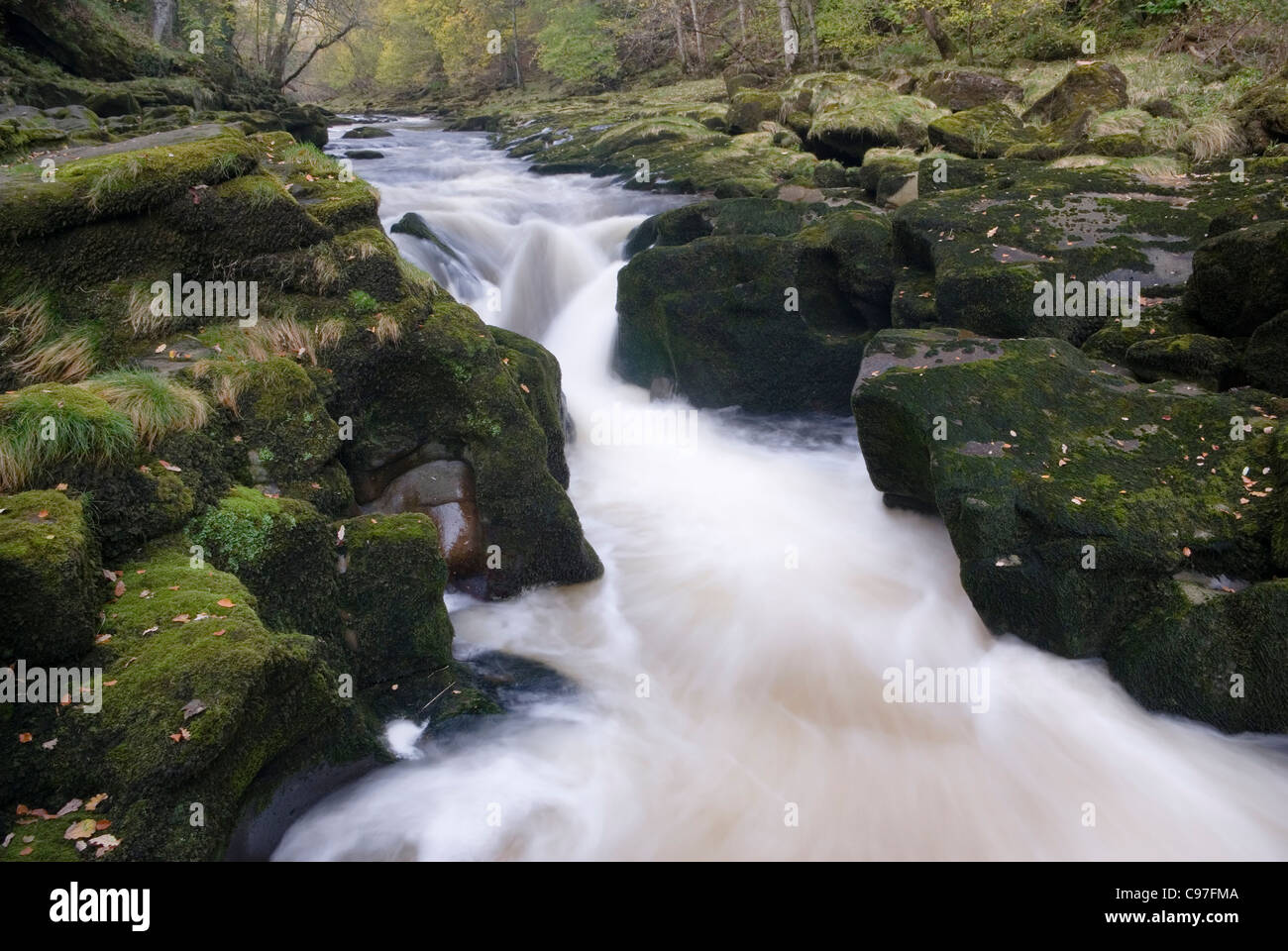 Strid river hi-res stock photography and images - Alamy