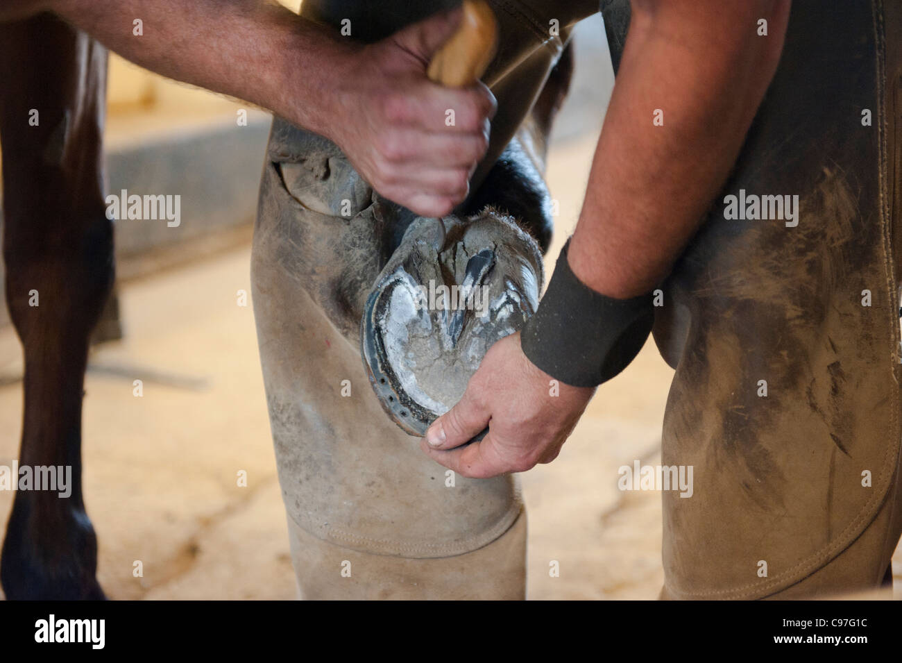 Farrier at work Stock Photo - Alamy