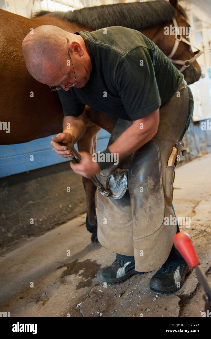 Farrier at work Stock Photo - Alamy