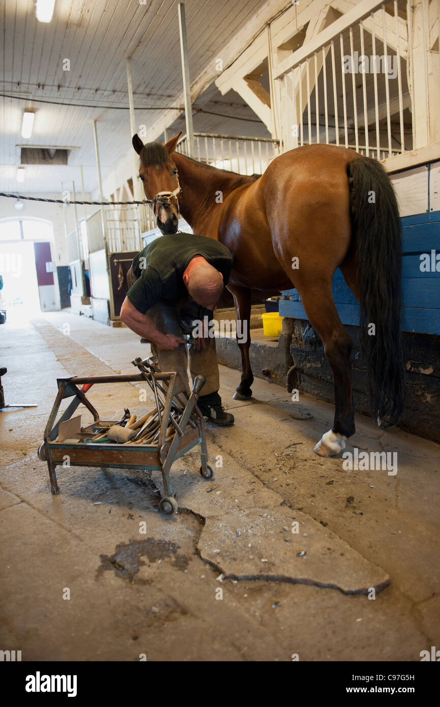 Farrier at work Stock Photo - Alamy
