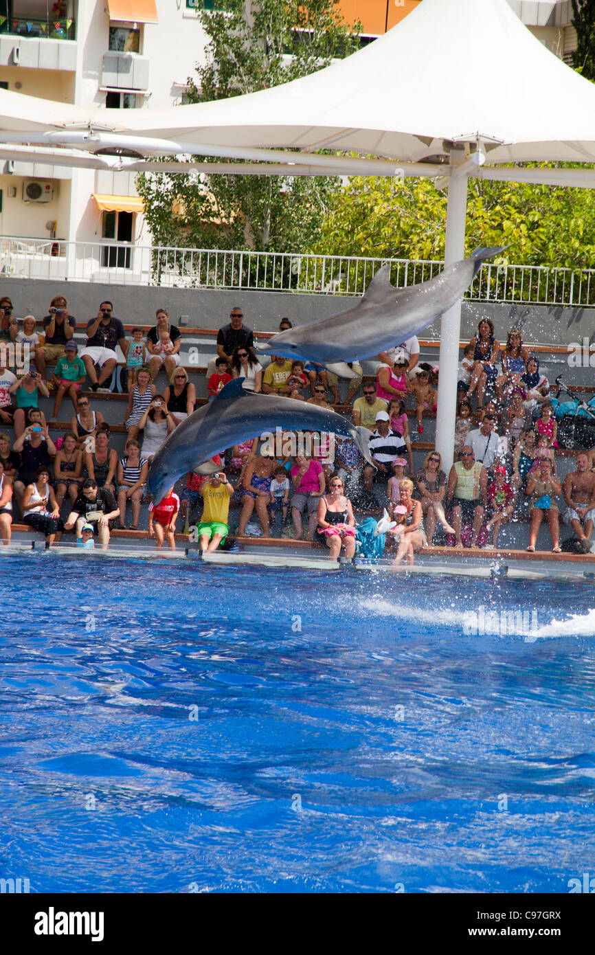 Dolphin show in Marineland Mallorca Majorca Balearic Spain Europe Stock ...