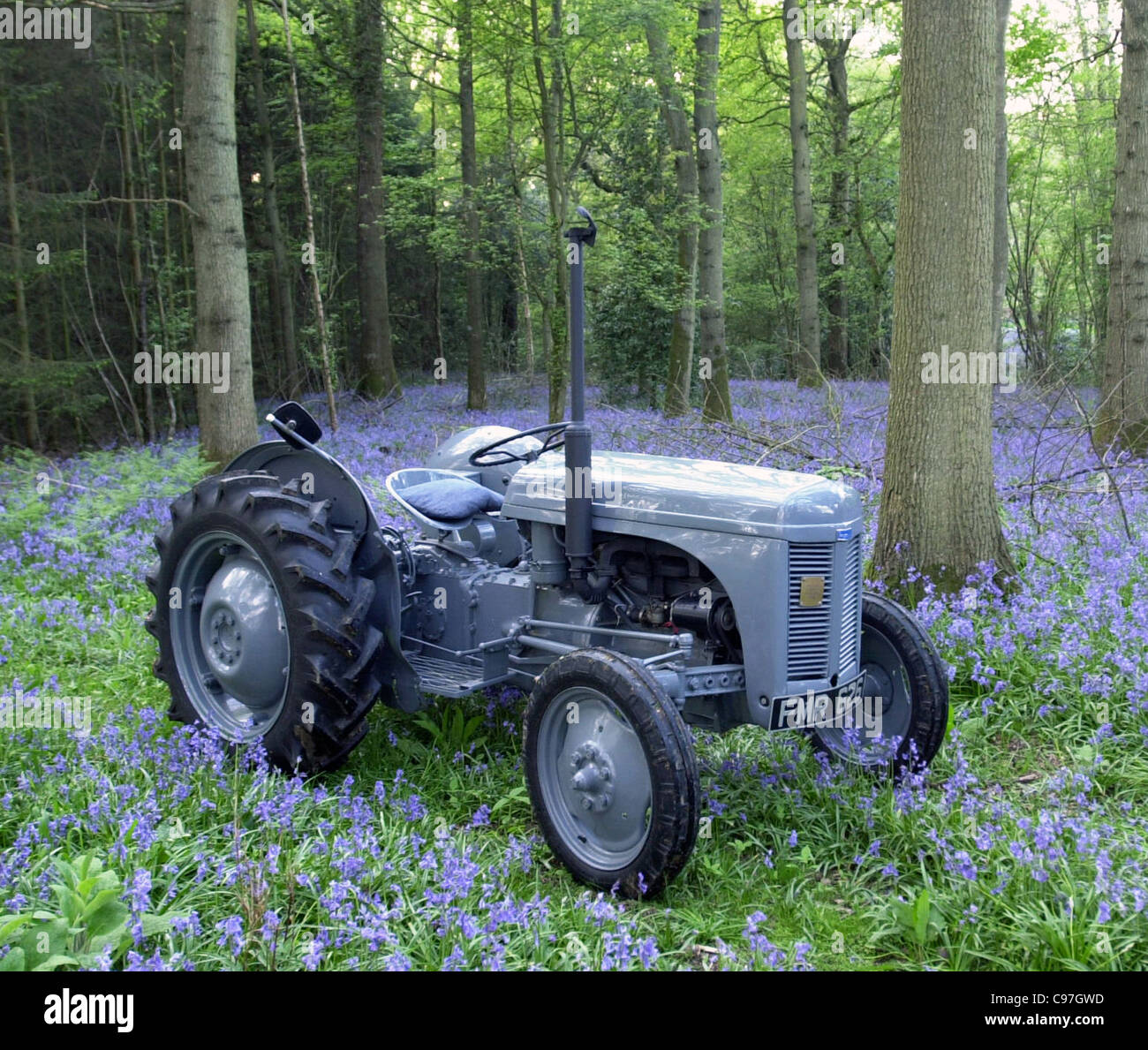 Vintage Ferguson tractor TEA20 Stock Photo - Alamy