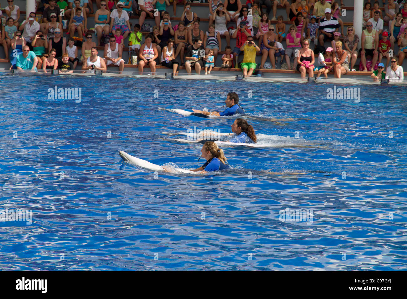 Dolphin show in Marineland Mallorca Majorca Balearic Spain Europe Stock ...
