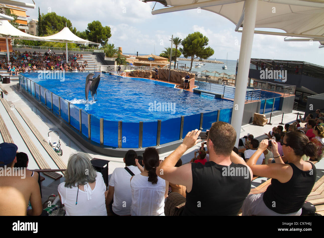 Marineland mallorca hi-res stock photography and images - Alamy
