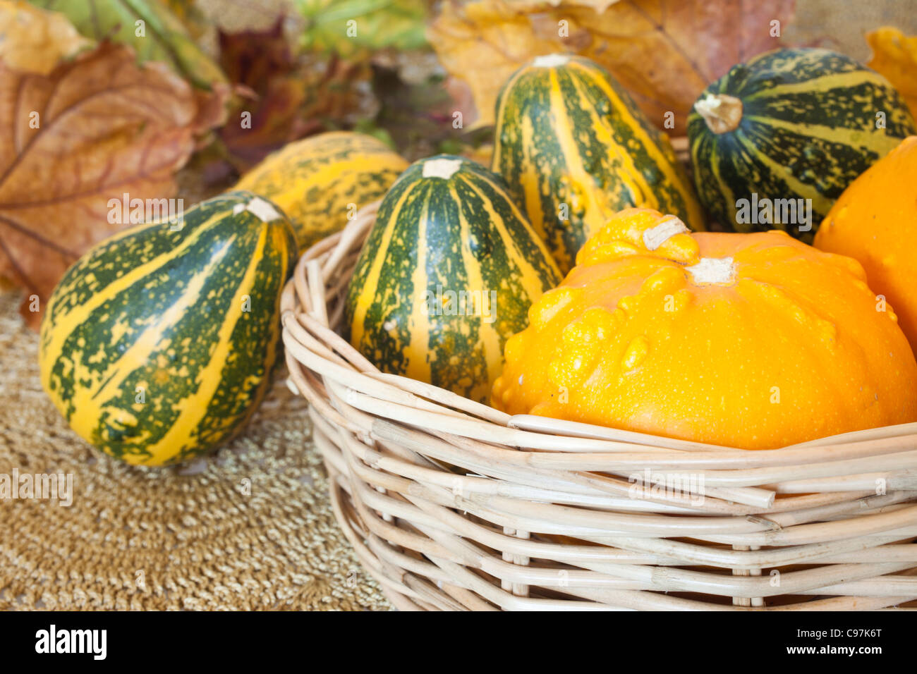 Calabash hi-res stock photography and images - Alamy