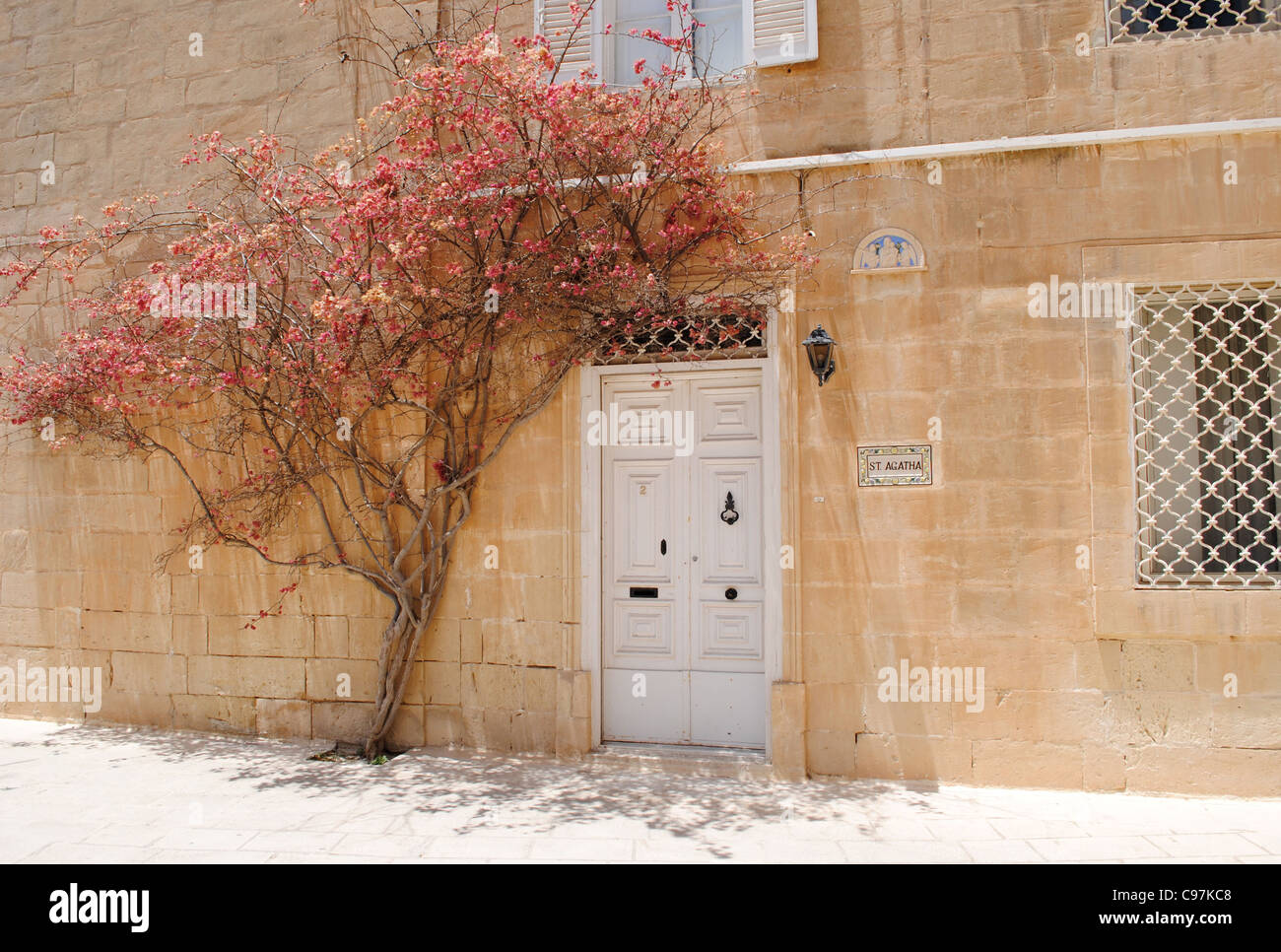 Malta tree hi-res stock photography and images - Alamy