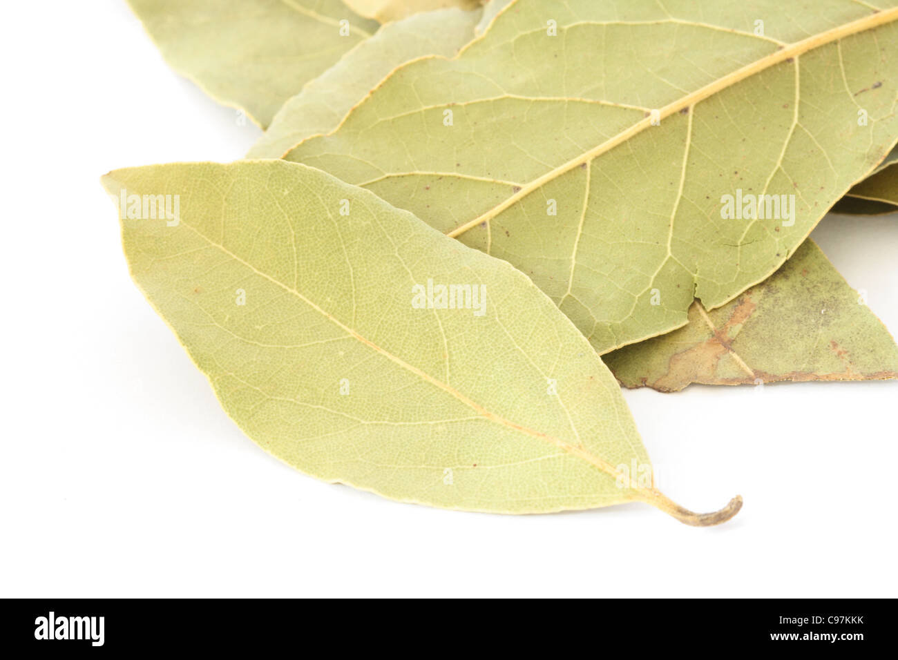 Close up of several leaves of bay leaf spice on white background Stock ...