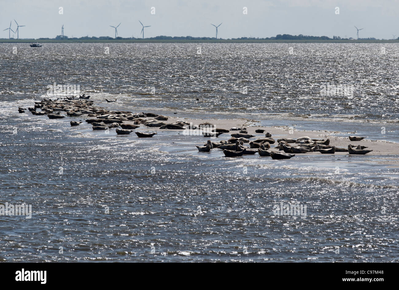 Isla bank hi-res stock photography and images - Alamy