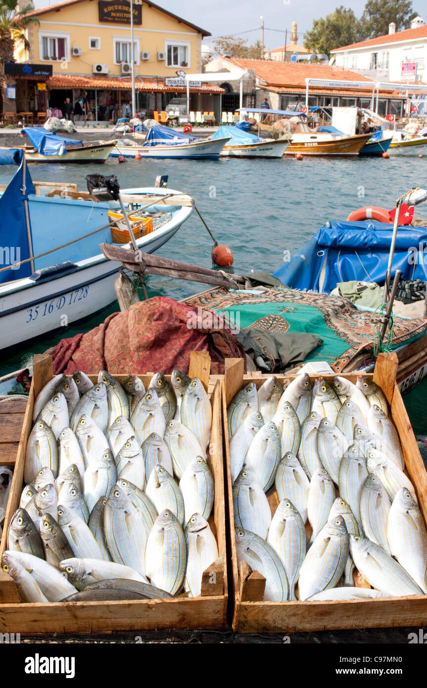 Foca market turkey hi-res stock photography and images - Alamy