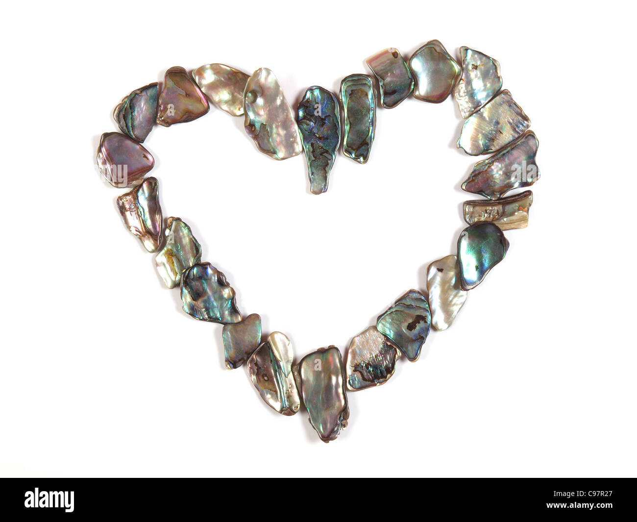 Paua hi-res stock photography and images - Alamy