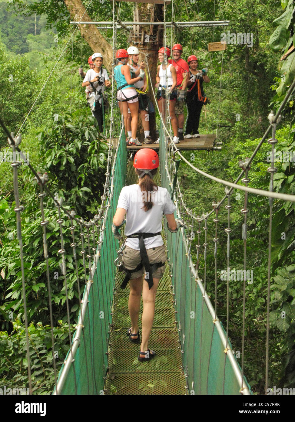 Costa Rica. Woman walking across rope bridge while ziplining through ...