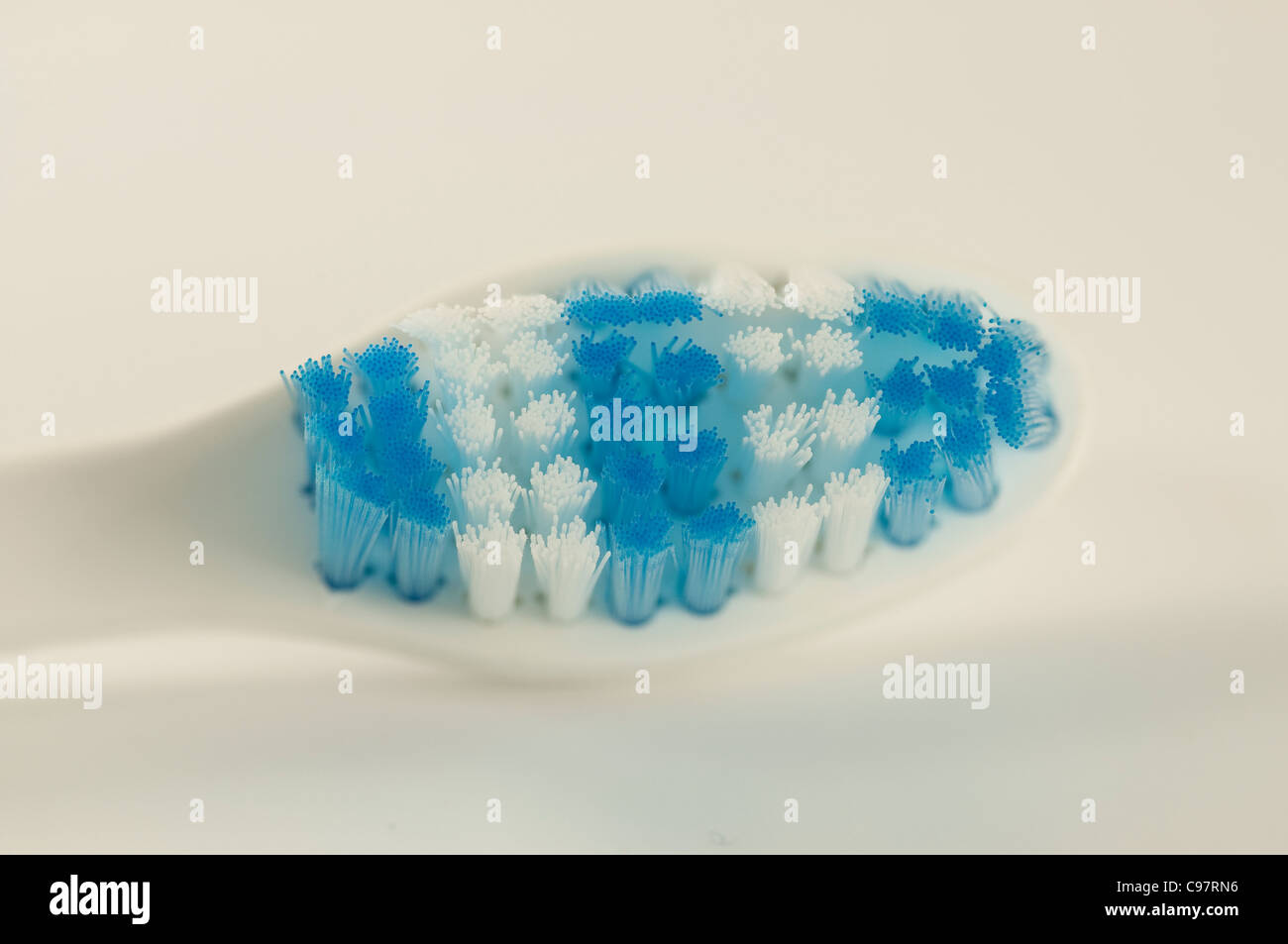 Toothbrush head bristles hi-res stock photography and images - Alamy