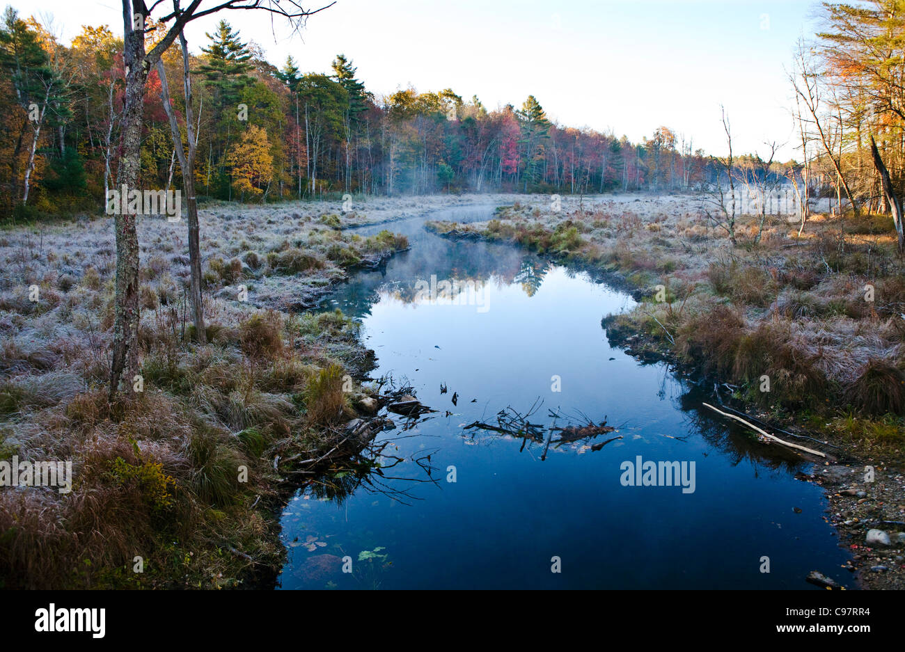 East branch of the Swift River in Petersham, MA Stock Photo - Alamy