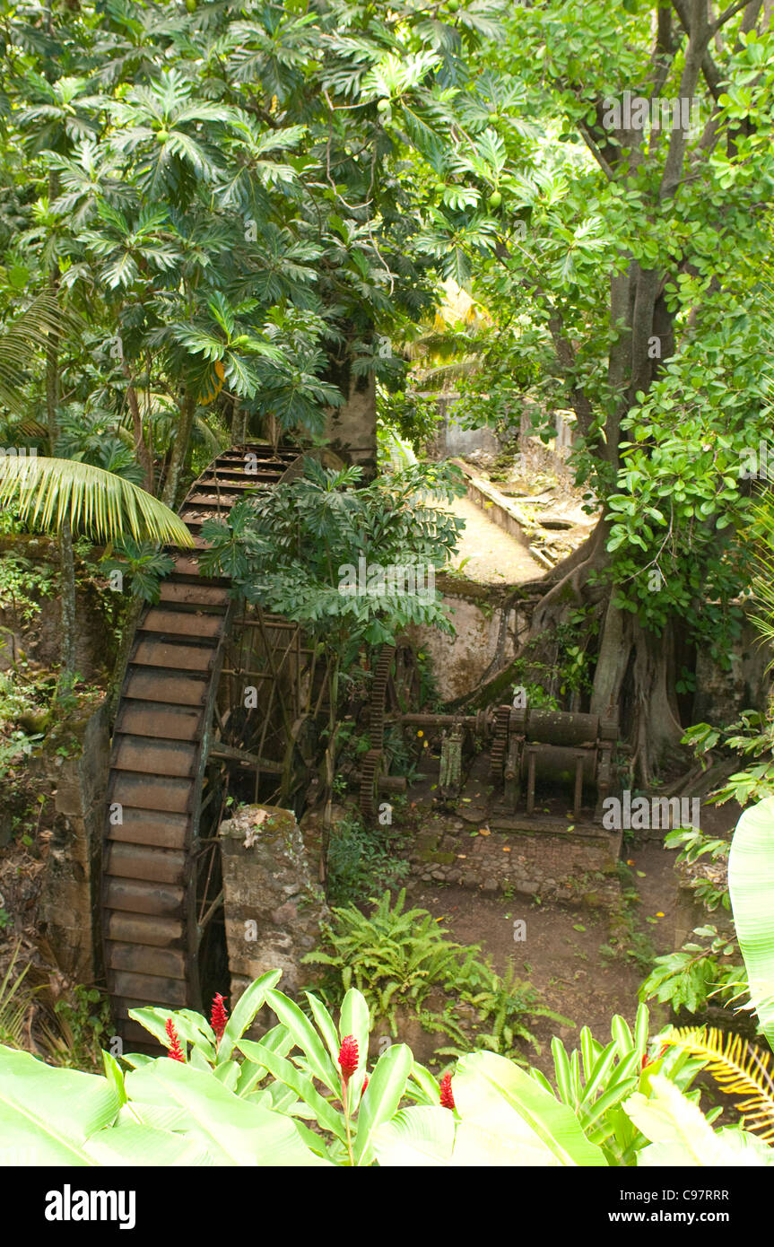 Balenbouche Estate, St. Lucia. Sugar mill ruins Stock Photo - Alamy